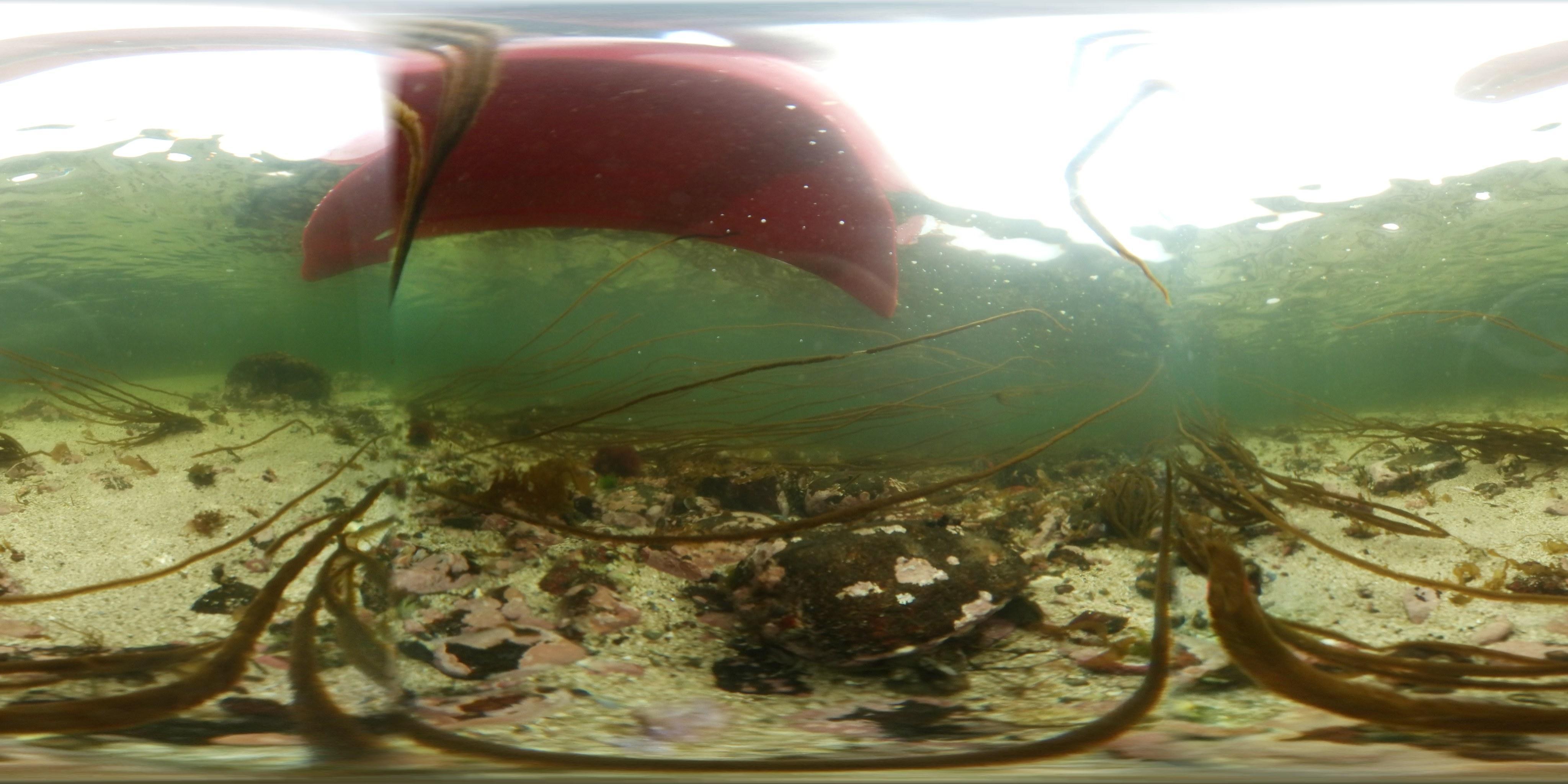 Shallow Sea Bottom on Momento360