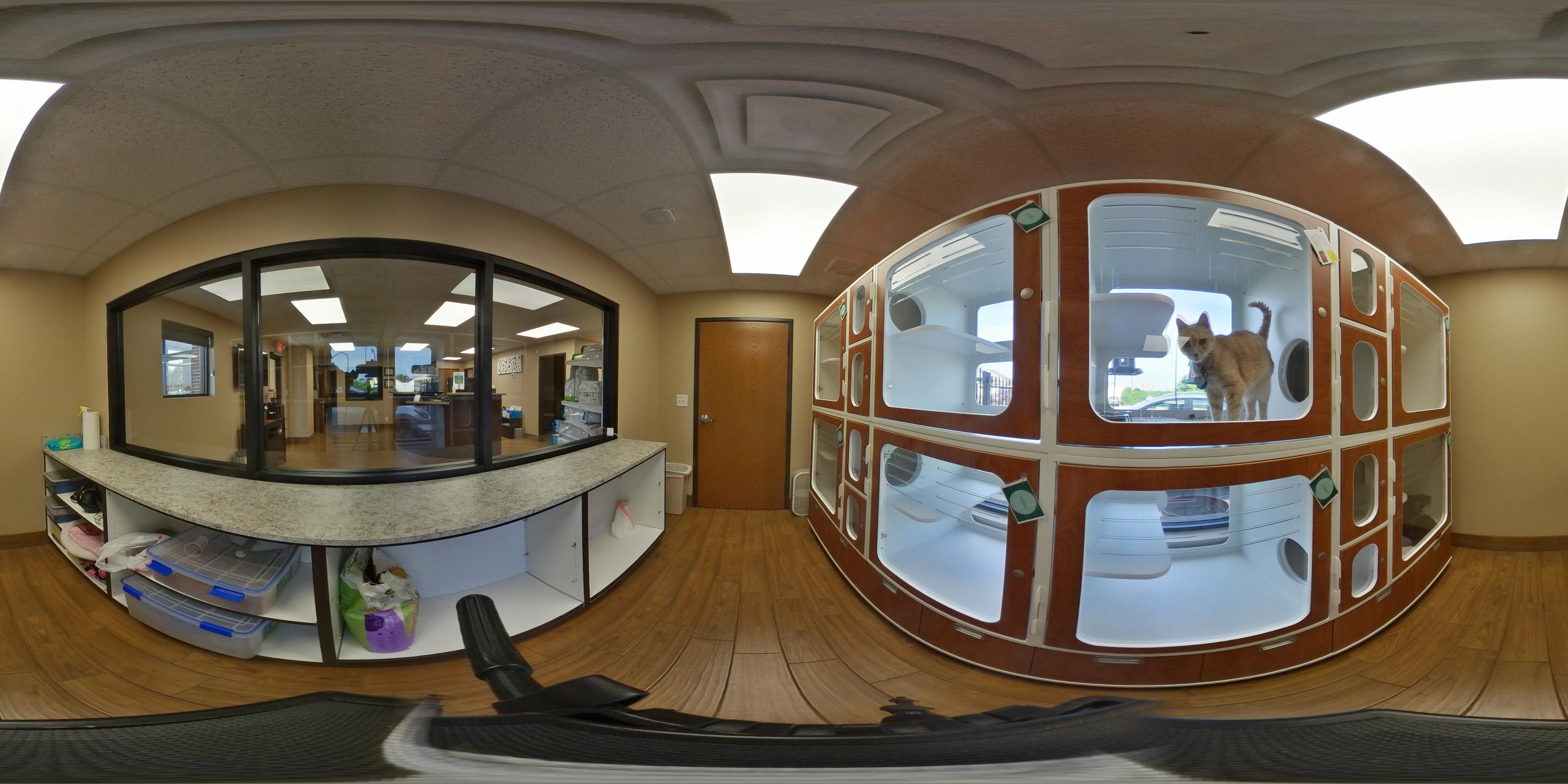 SAM 100 0074 on Momento360